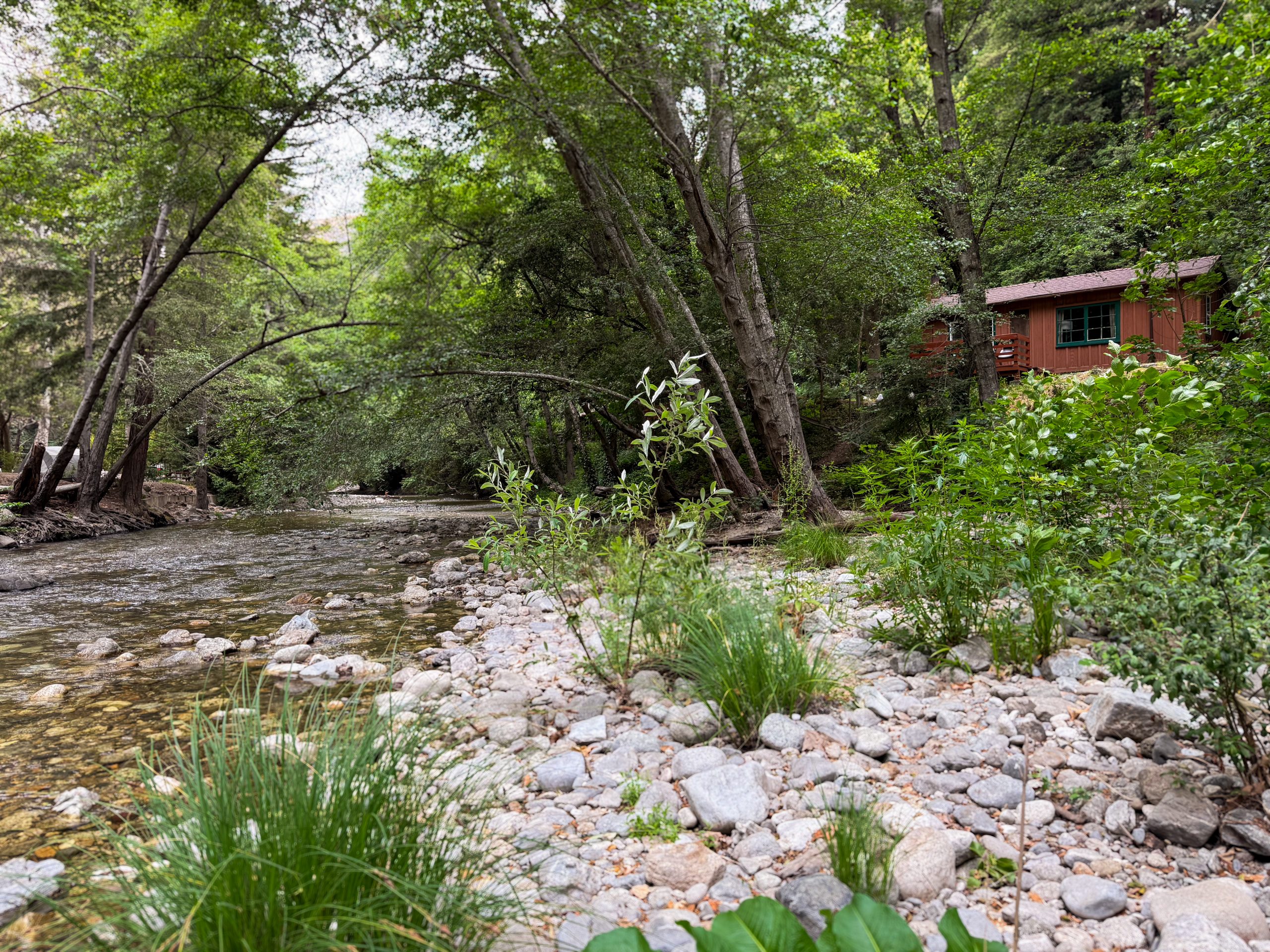 About Big Sur Hotel - Ripplewood Resort & Cafe | Big Sur California Rustic River Cabins